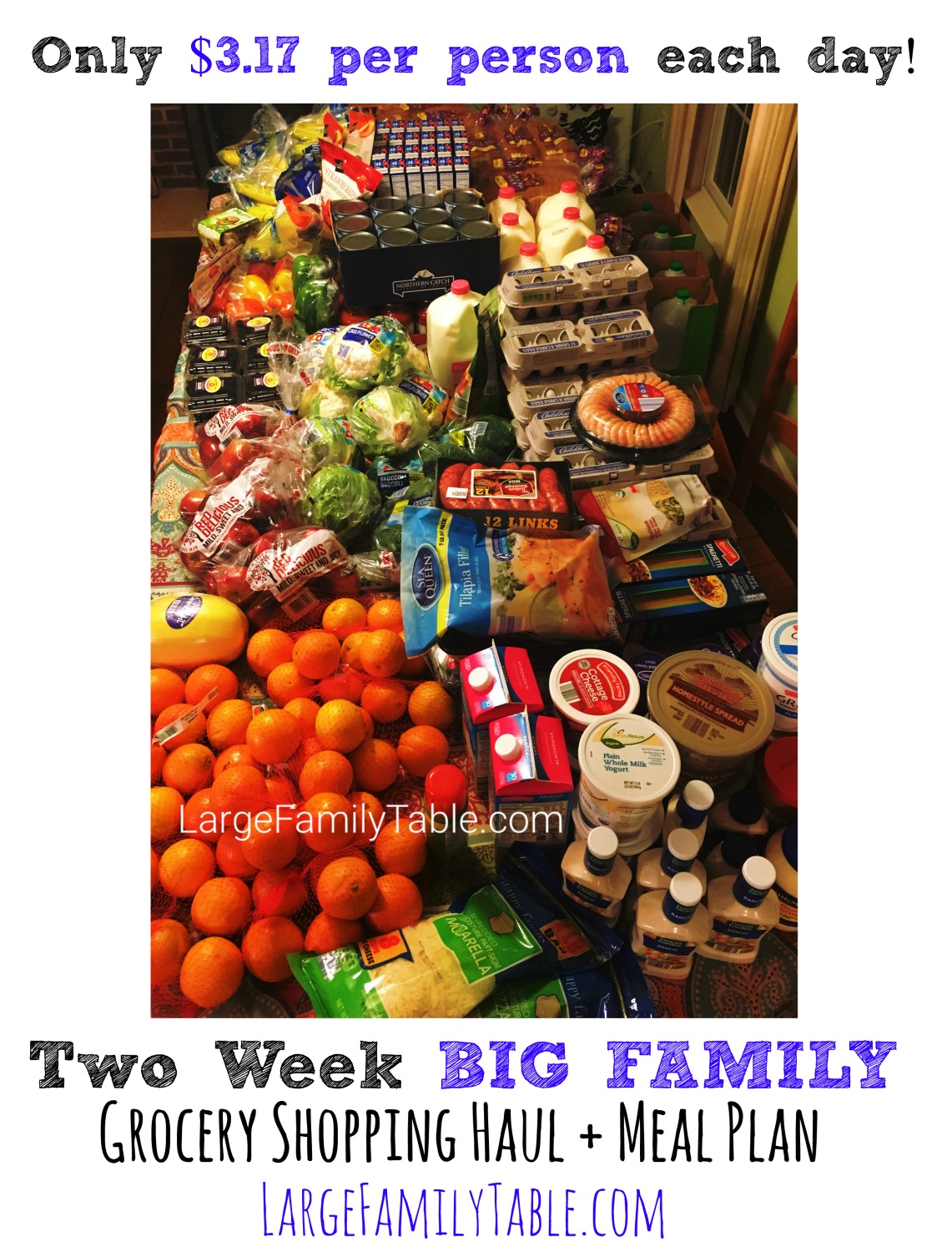 Two Week BIG FAMILY Grocery Shopping Haul Meal Plan Only 3 17 Per