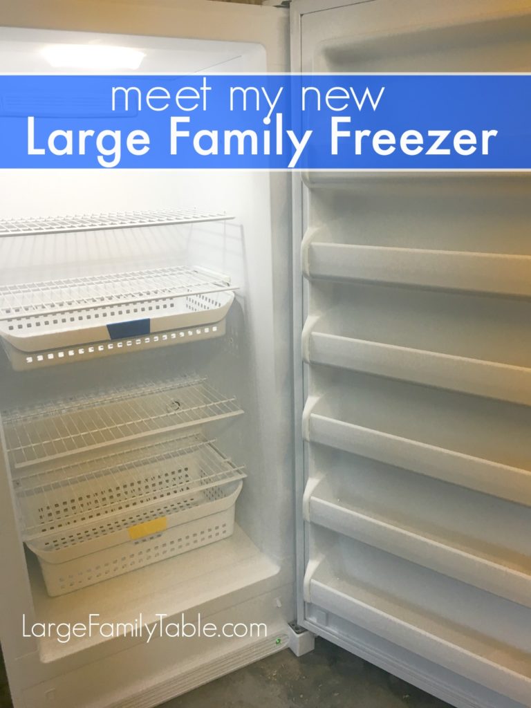 Meet My New Large Family Freezer - Large Family Table