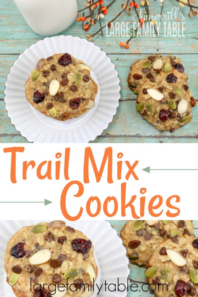 Homemade Trail Mix Cookies Recipes - Large Family Table