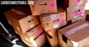 My First Time Experience Buying an Entire Pasture-Raised Cow (527 lbs ...