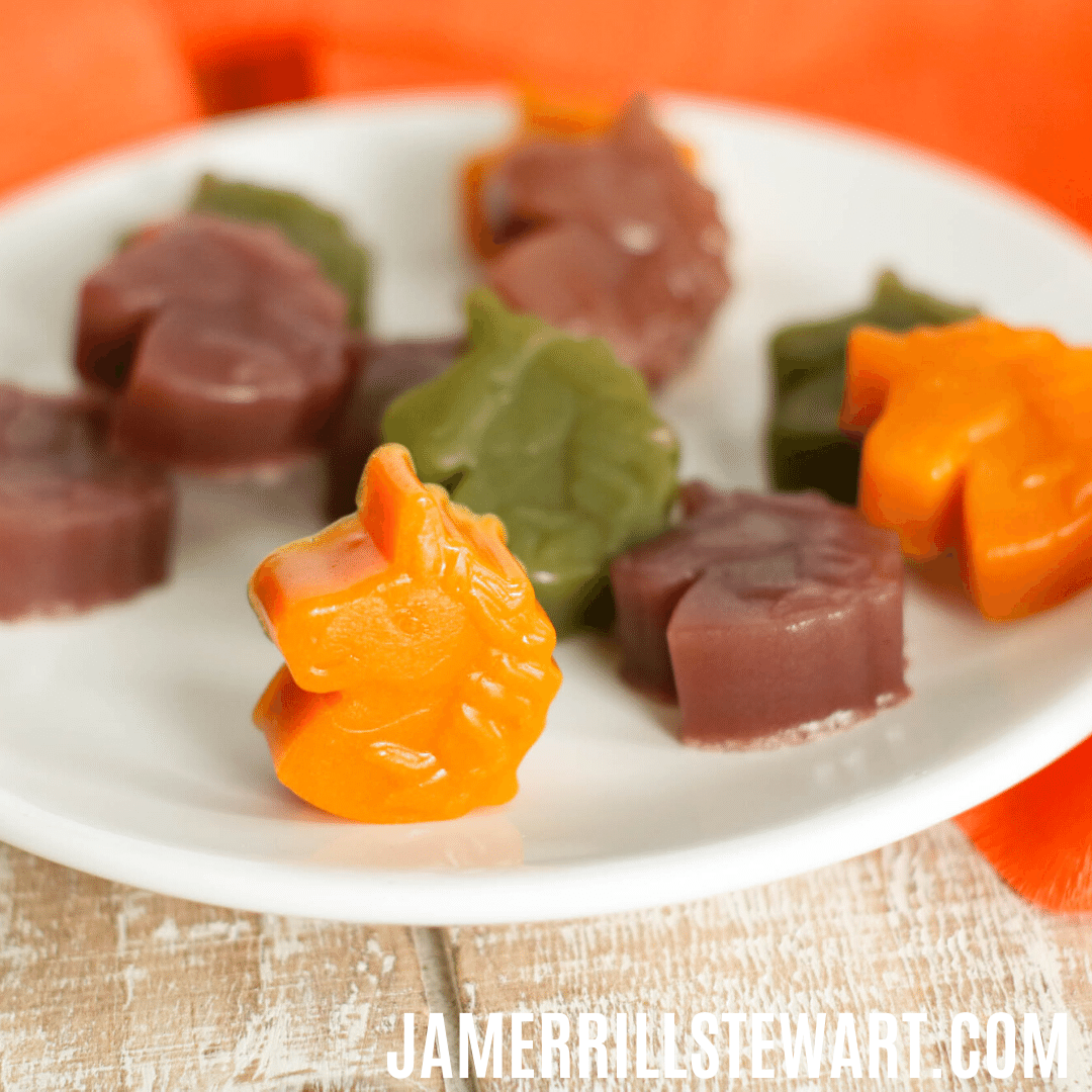 Homemade Unicorn Gummies | JamerrillStewart.Com