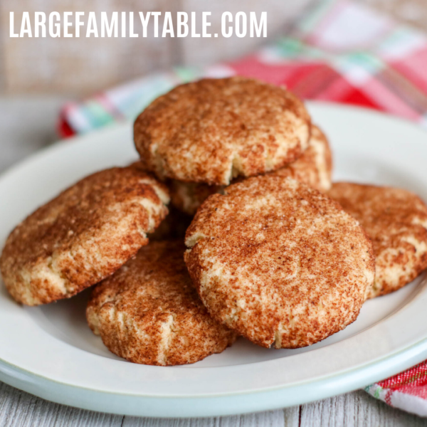 Low Carb SnickerDoodles Recipe | LargeFamilyTable.Com