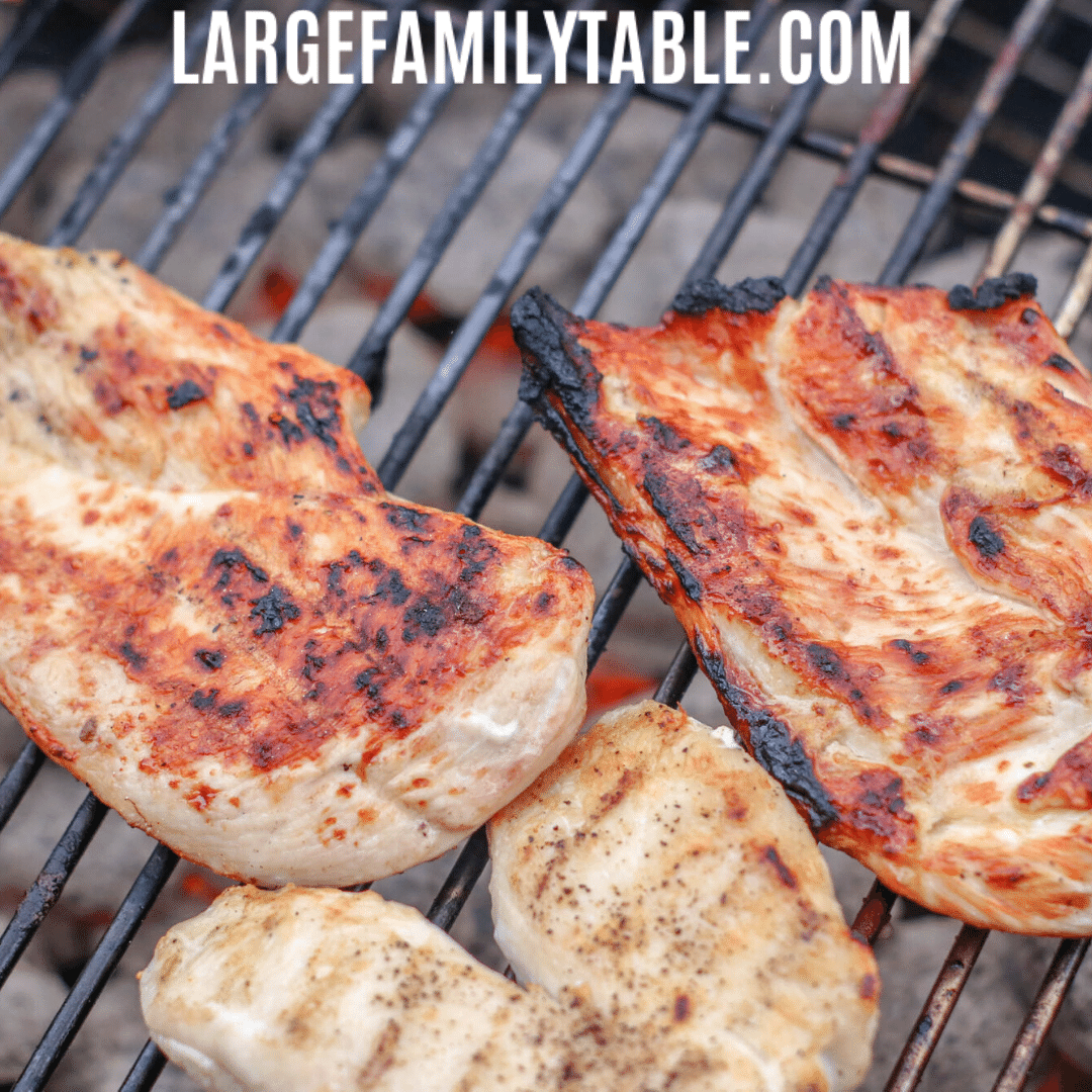 Grilled Chicken Berry Blue Salad | LargeFamilyTable.Com