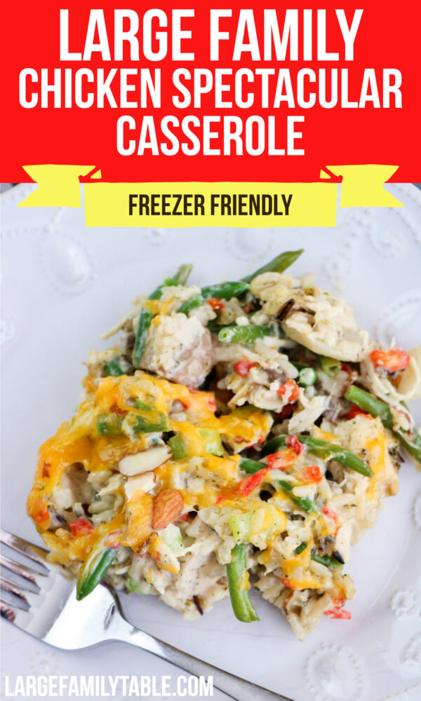 Large Family Chicken Spectacular Casserole | Freezer Meals - Large ...