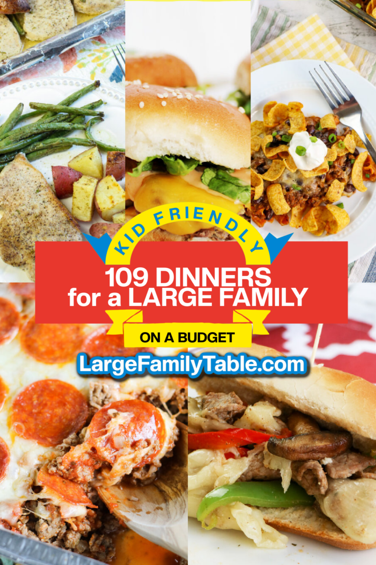 109 Kid-Friendly Dinners for a Large Family on a Budget