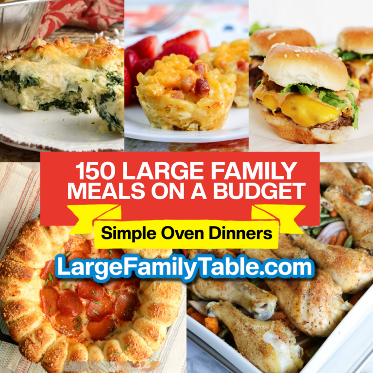 150 Large Family Meals on a Budget Simple Oven Dinners